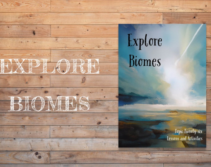 Biomes Game - Etsy