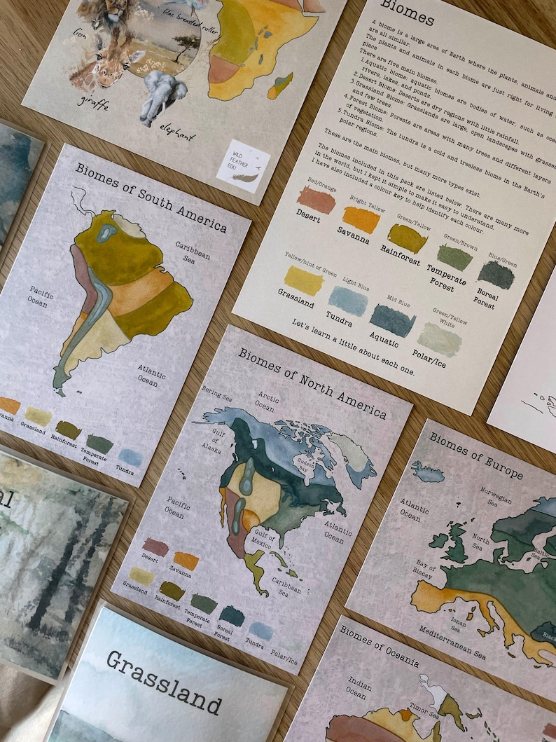 DIGITAL Continent Biomes Maps | Homeschool, Waldorf & Montessori ...