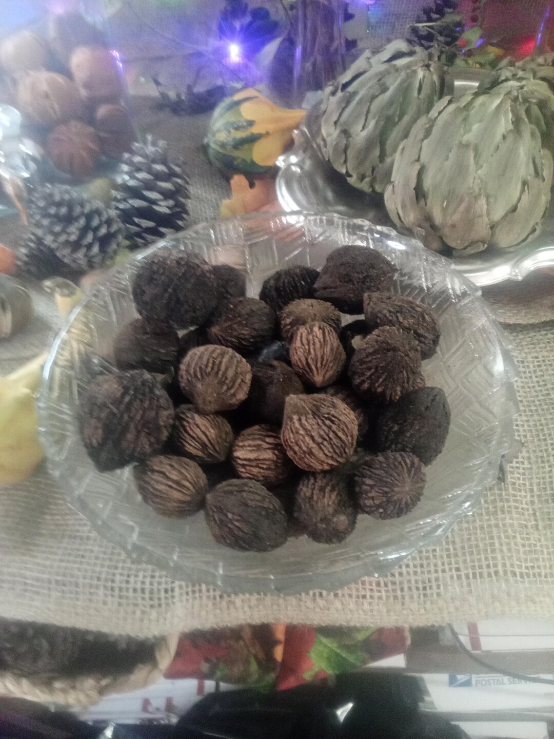 Wild Indiana Black Walnuts - Etsy