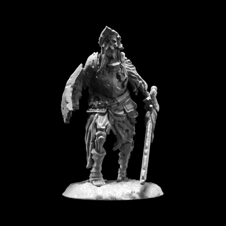 The Undead - Unit II - Echoes of the Grave – D&D Miniatures | Novac ...