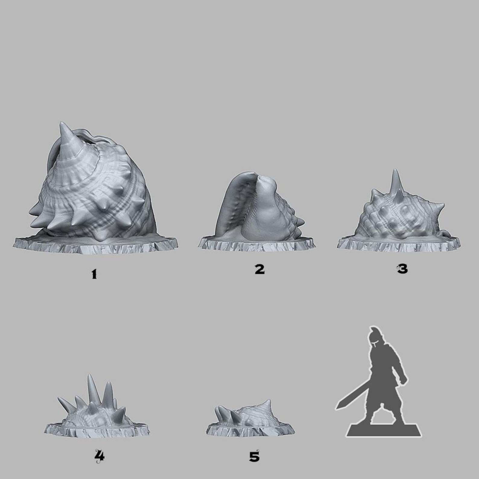 Giant Hermit's Crab Shells – 28mm Tabletop Terrain for Dnd - Etsy