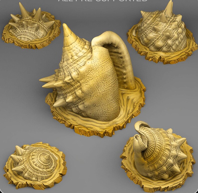 Giant Hermit's Crab Shells – 28mm Tabletop Terrain for Dnd - Etsy