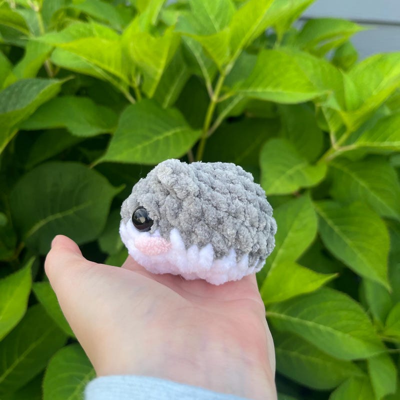 Hamster Teddy - Etsy UK