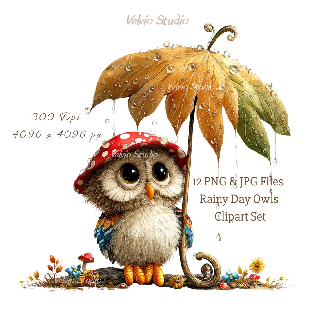 Whimsical Owl Under Leaf Clipart Set: Rainy Day Illustrations, 12 PNG ...