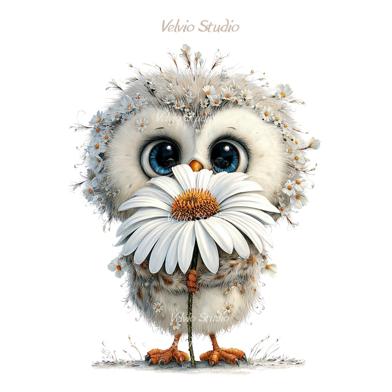 Whimsical Owl With Daisy Clipart Set: 14 PNG & JPG Files Included ...