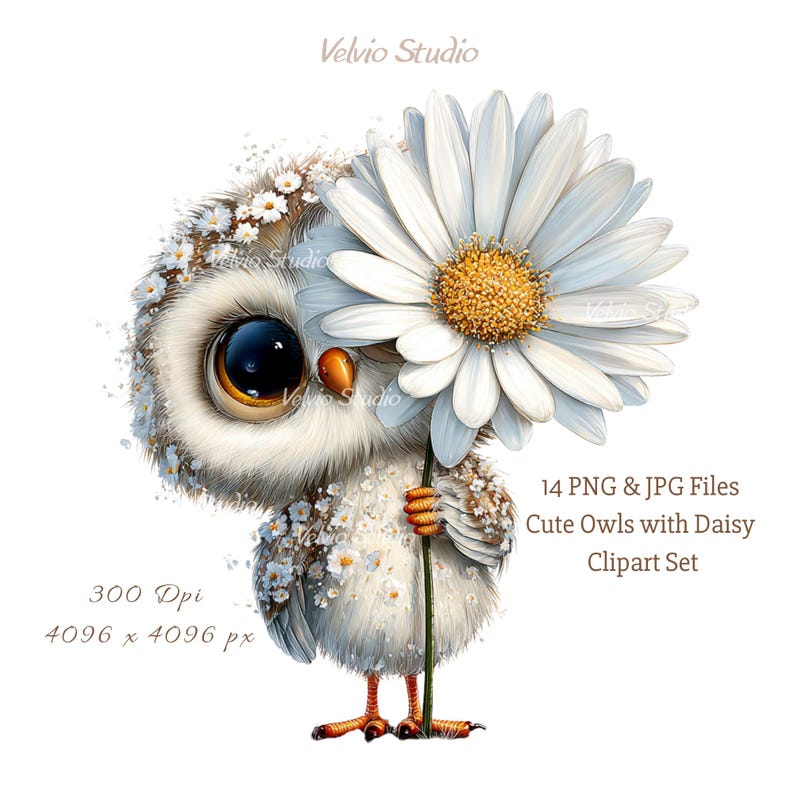 Whimsical Owl With Daisy Clipart Set: 14 PNG & JPG Files Included ...