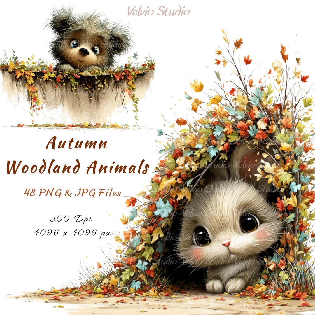 Autumn Woodland Animals Clipart Set: 48 PNG & JPG (digital Printable ...