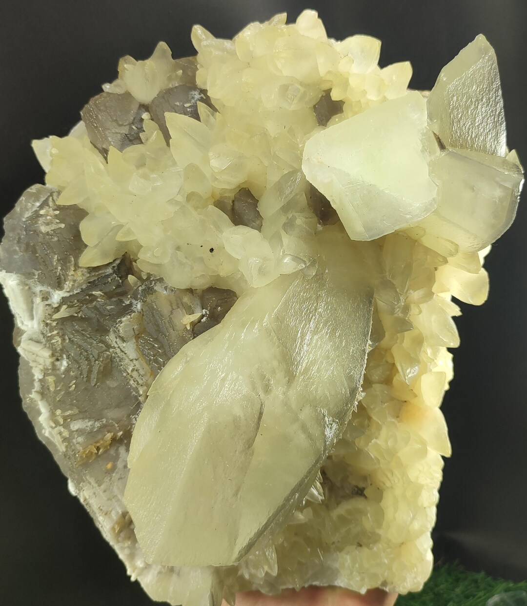 11+ Super Huge Phenomenal Dog Teeth Calcite Combined With Purple ...