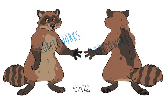 Raccoon Anthro