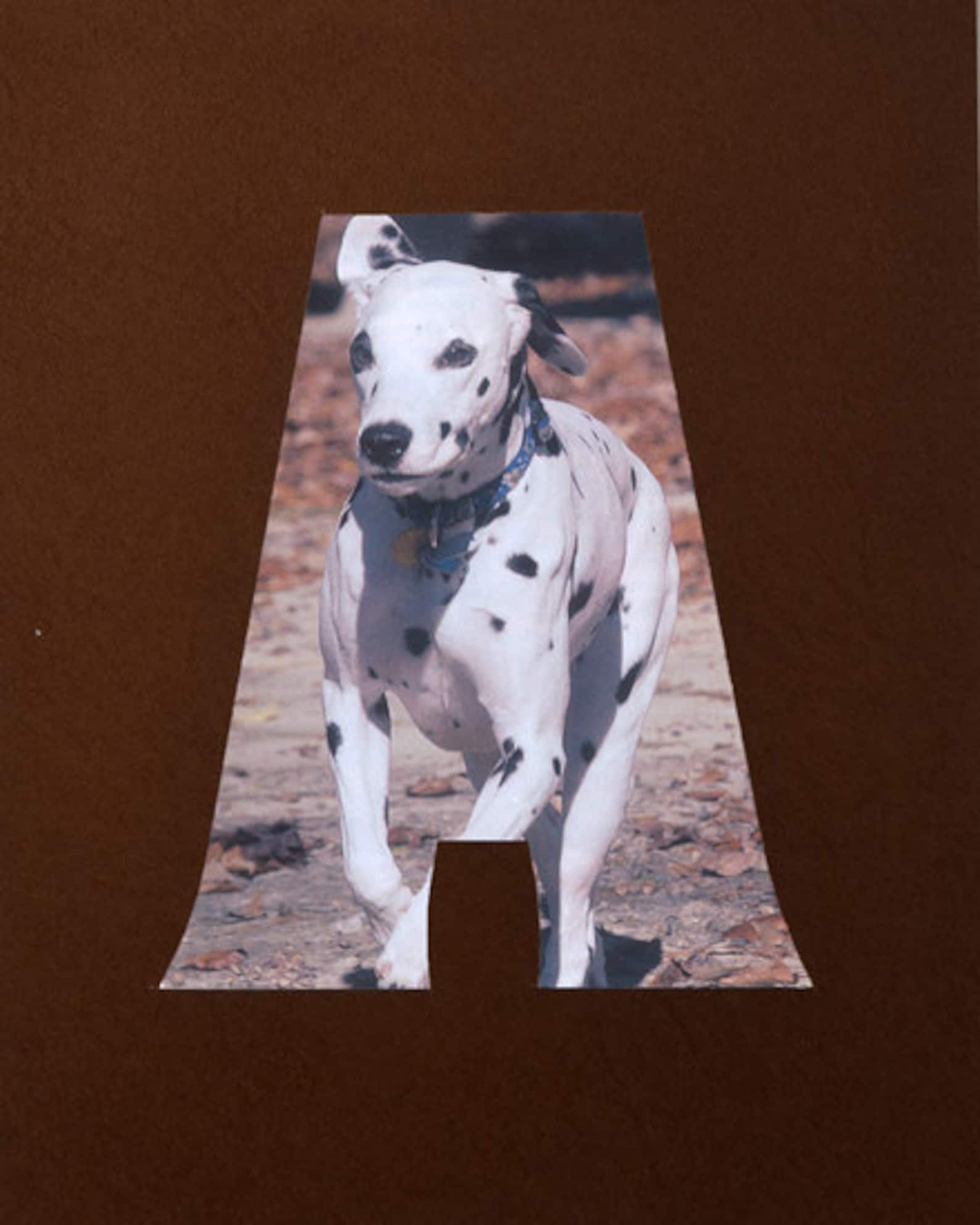 Alphabet Letters as 8"x10" Custom Photo Mat - Etsy