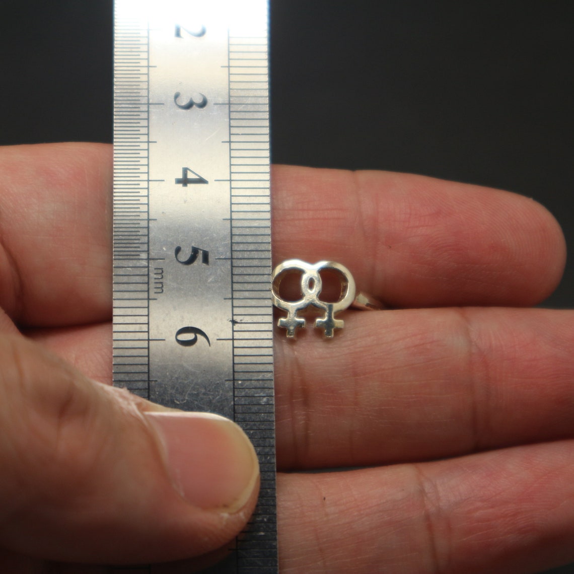 Silver Lgbt Pride Ring Lesbian and Gay Pride Jewelry Lgbtq - Etsy