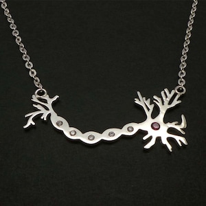 Silver Neuron Neuroscience Necklace - Science Anatomy Biology Jewelry ...