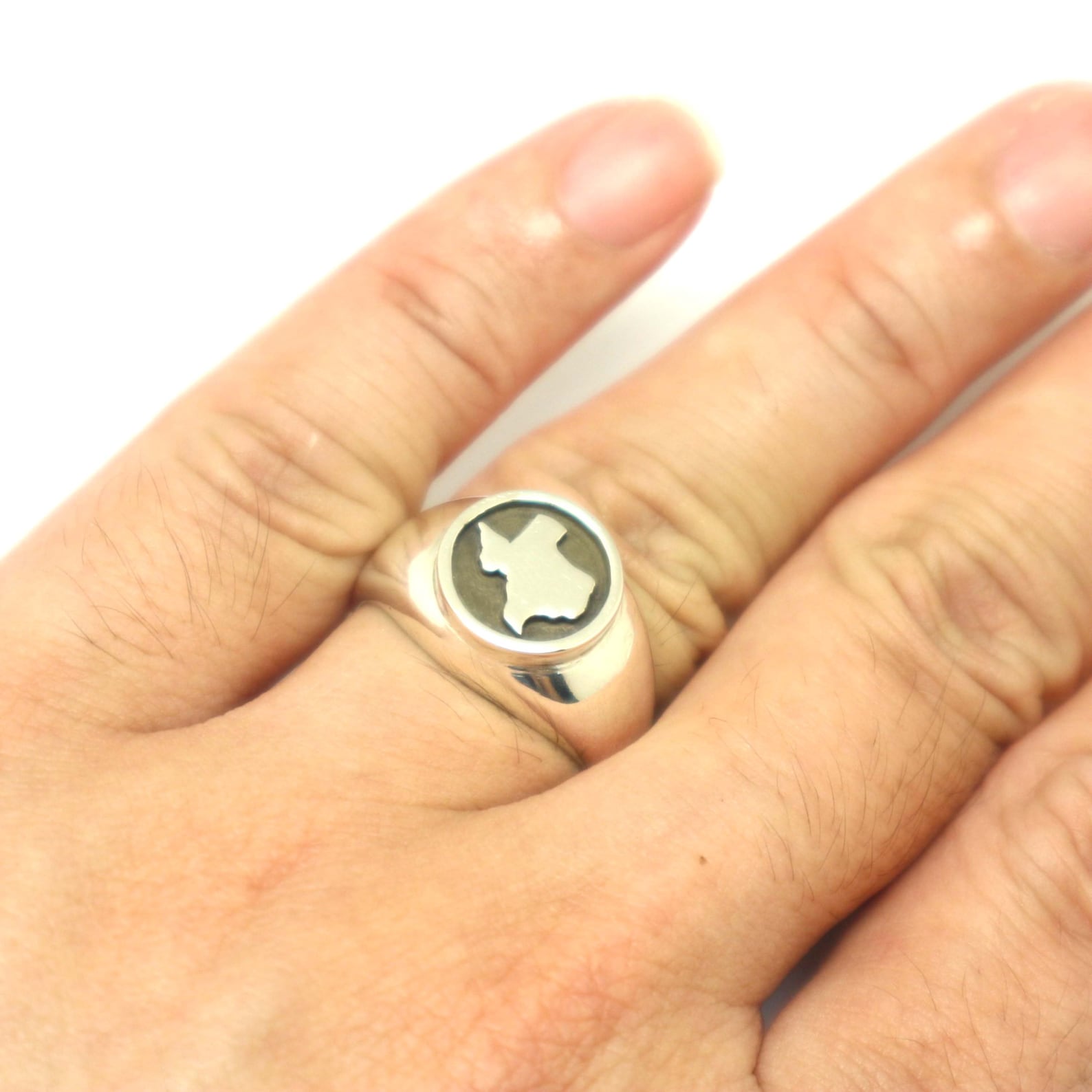 Silver Texas Signet Ring - Texas Home Pride Jewelry for Dad, State, Map ...