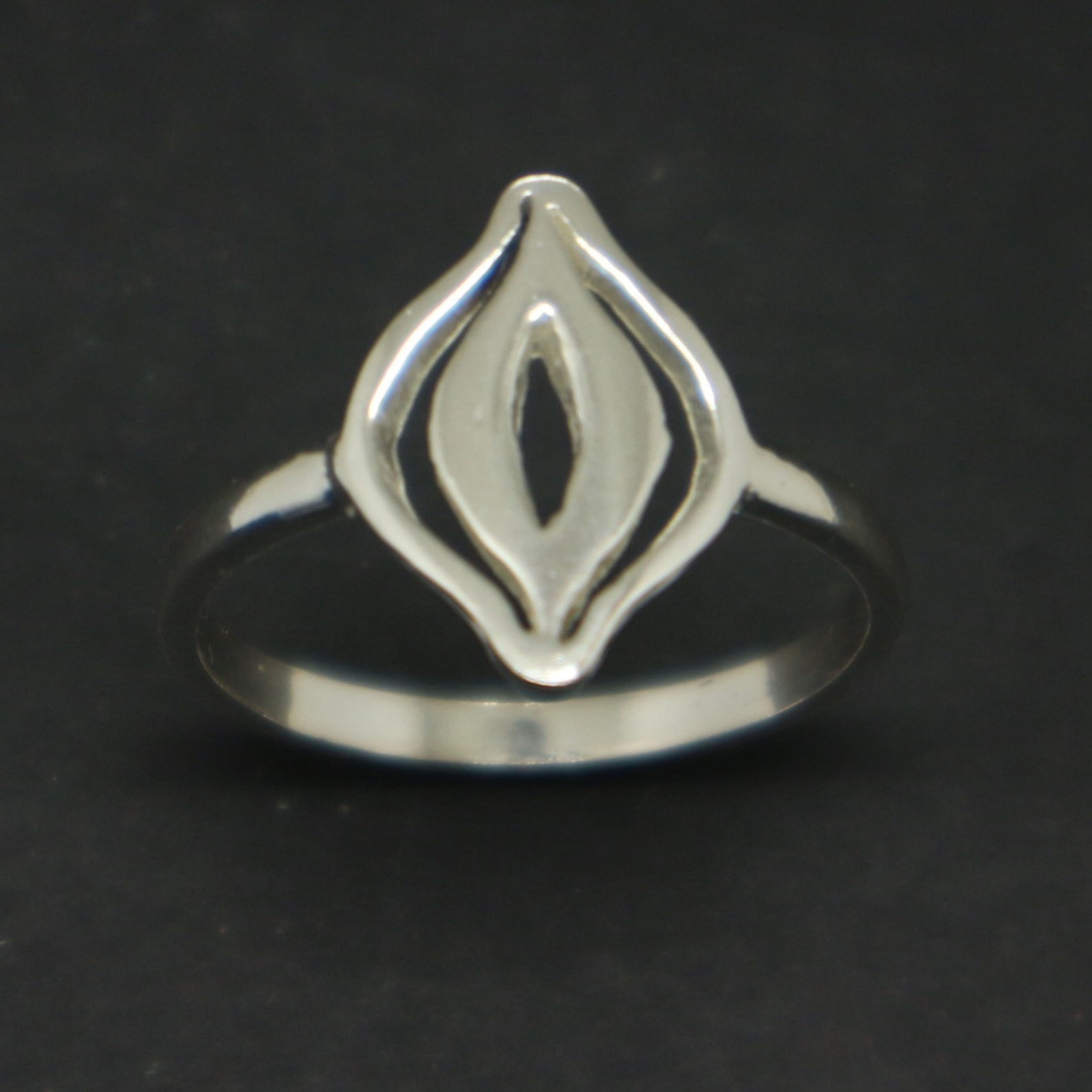 Silver Feminist Vagina Ring - Feminist Pussy Jewelry Gift, Feminism ...