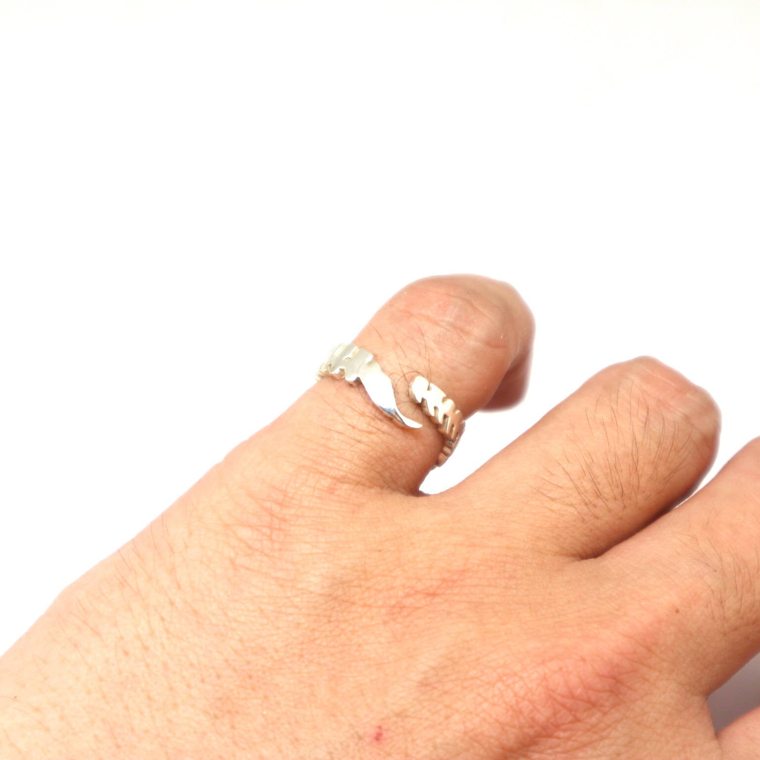 Silver Spine Cord Anatomy Ring Gift for Chiropractic | Etsy