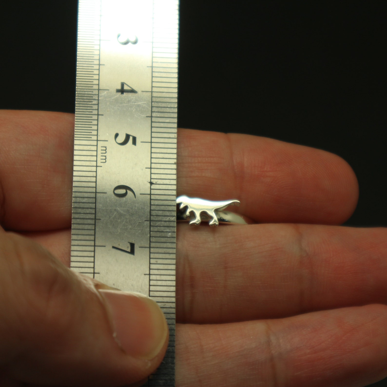 T-rex Dinosaur Promise Ring for Couples Trex Jewelry - Etsy Canada