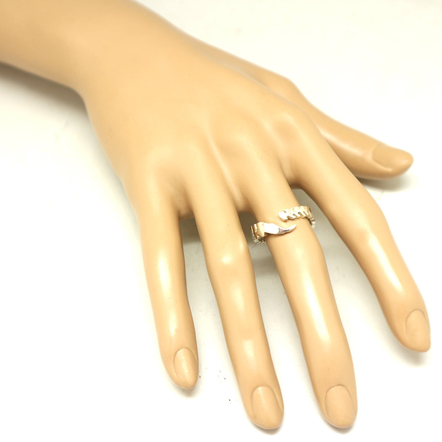 Silver Spine Cord Anatomy Ring Gift for Chiropractic | Etsy