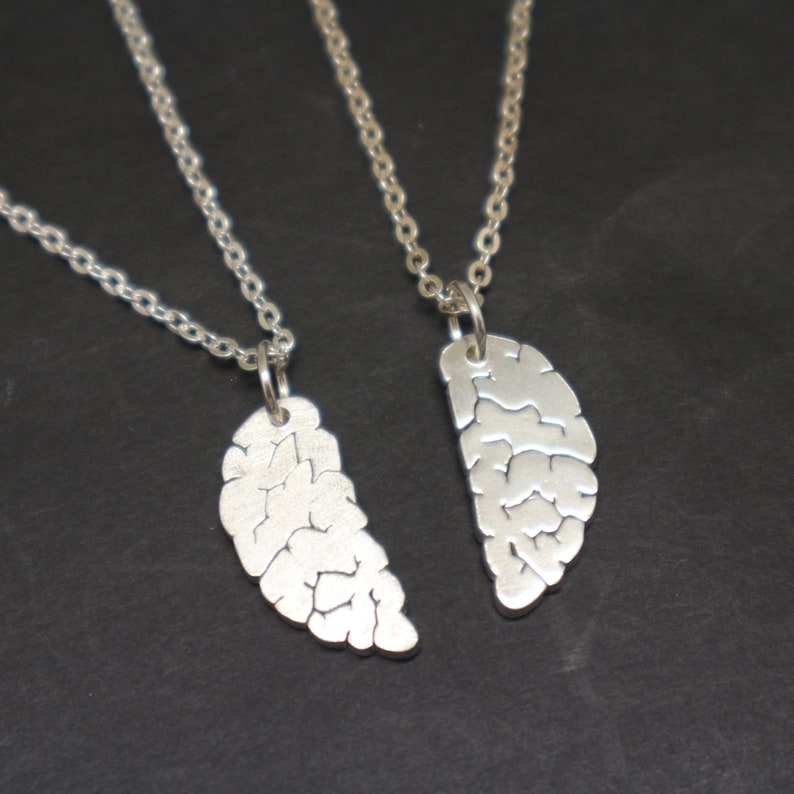 Silver Brain Neuroscience Couple Necklace for Neurologist | Etsy