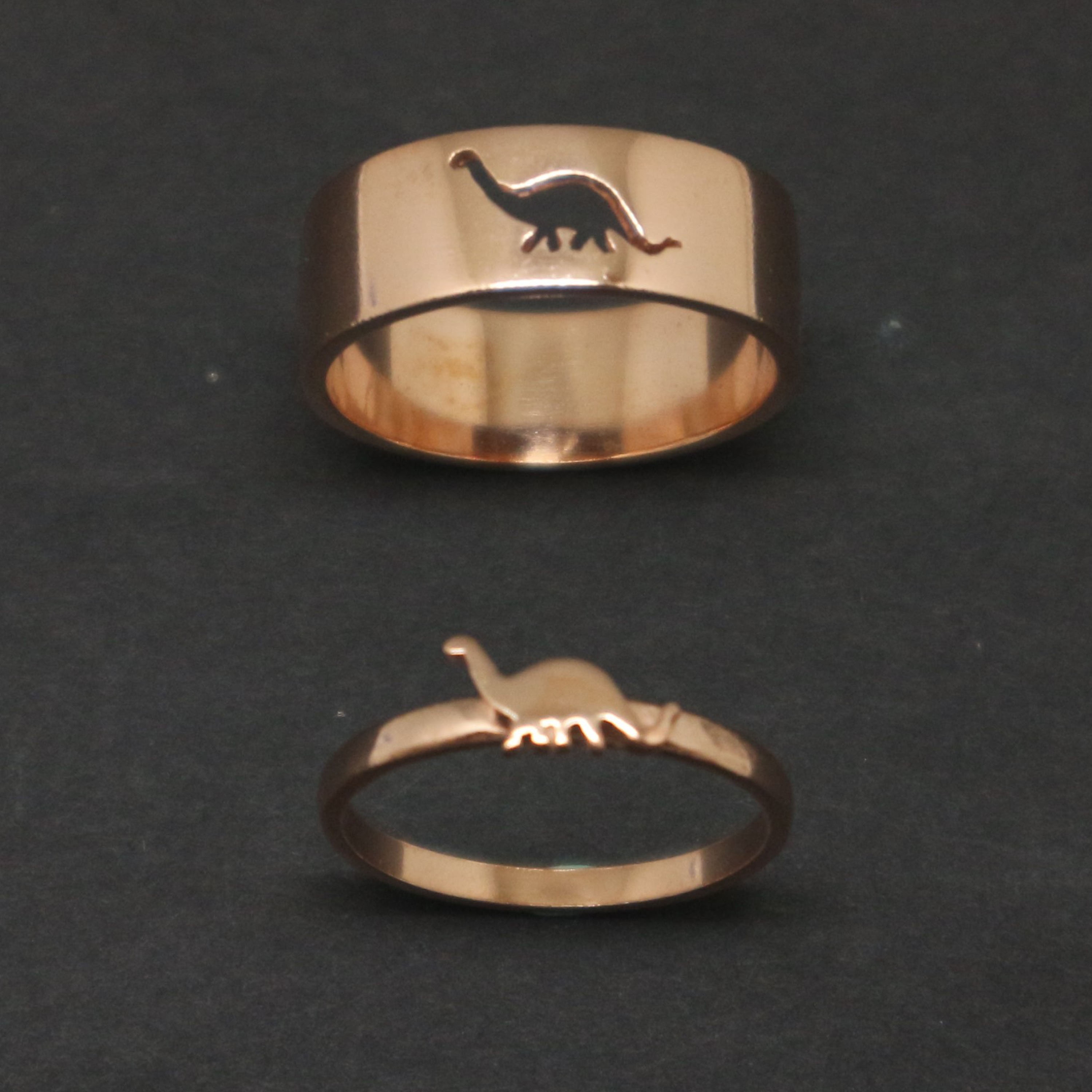Dinosaur Promise Ring for Couples Brachiosaurus Jewelry - Etsy UK