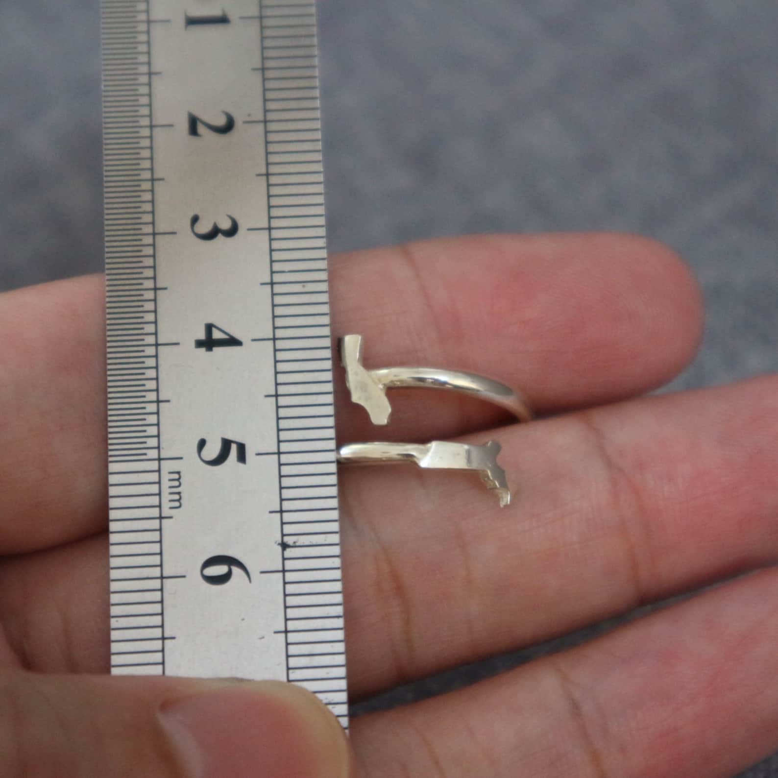 Long Distance Promise Ring for Couple Personalized State to | Etsy