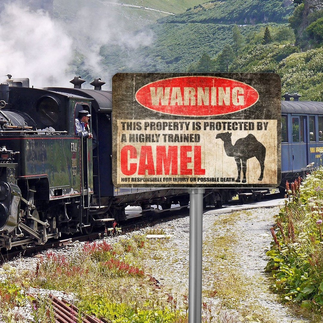 Camel Sign Camel Warning Sign Funny Camel Decor Sign Warning - Etsy