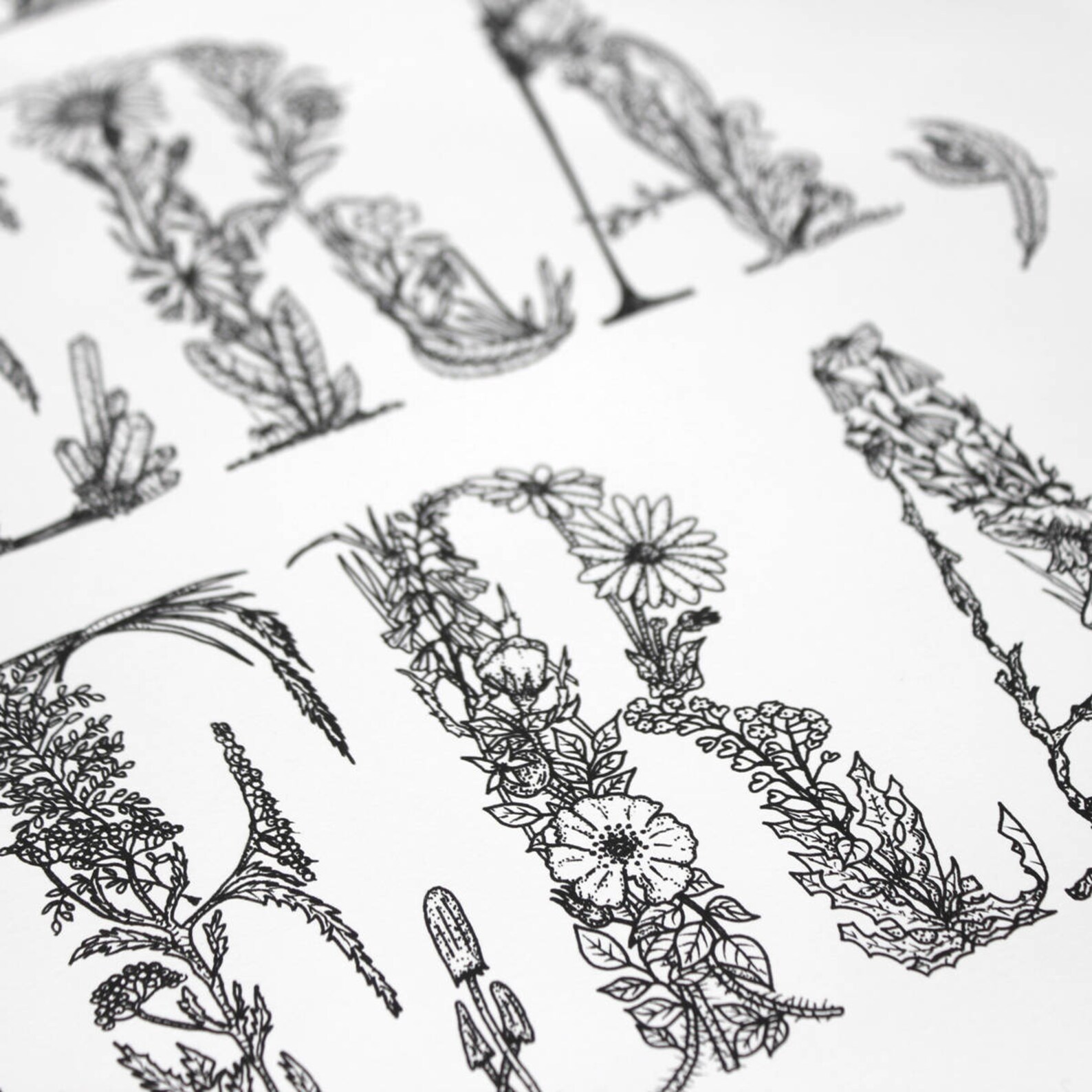 Que Sera Sera Quote Print Floral Hand Lettered Wall Art | Etsy