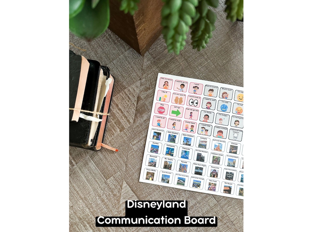 Disneyland AAC Communication Board - Etsy
