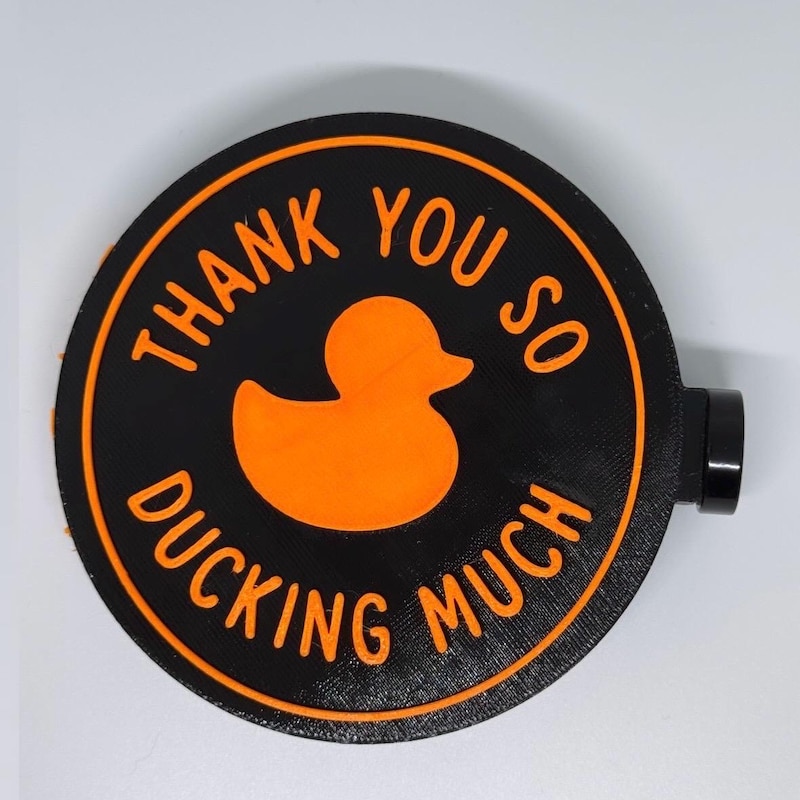 Duck Landing - Etsy
