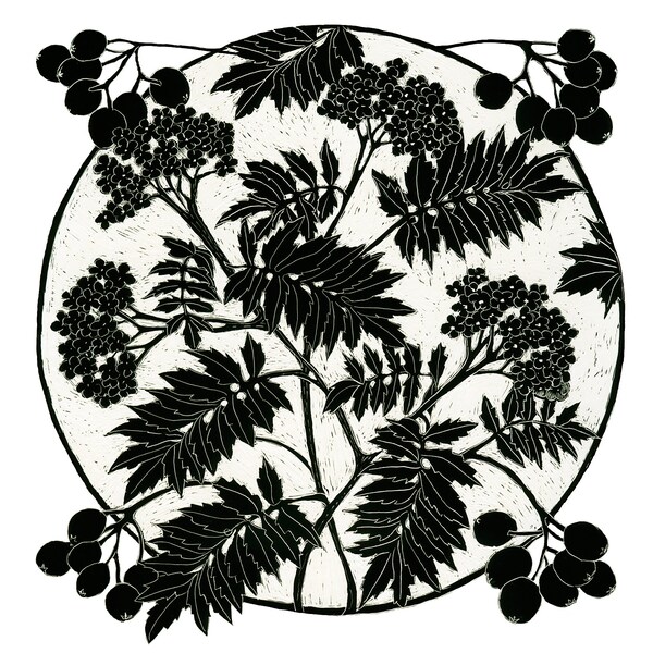 Rowan Tree Art - Etsy