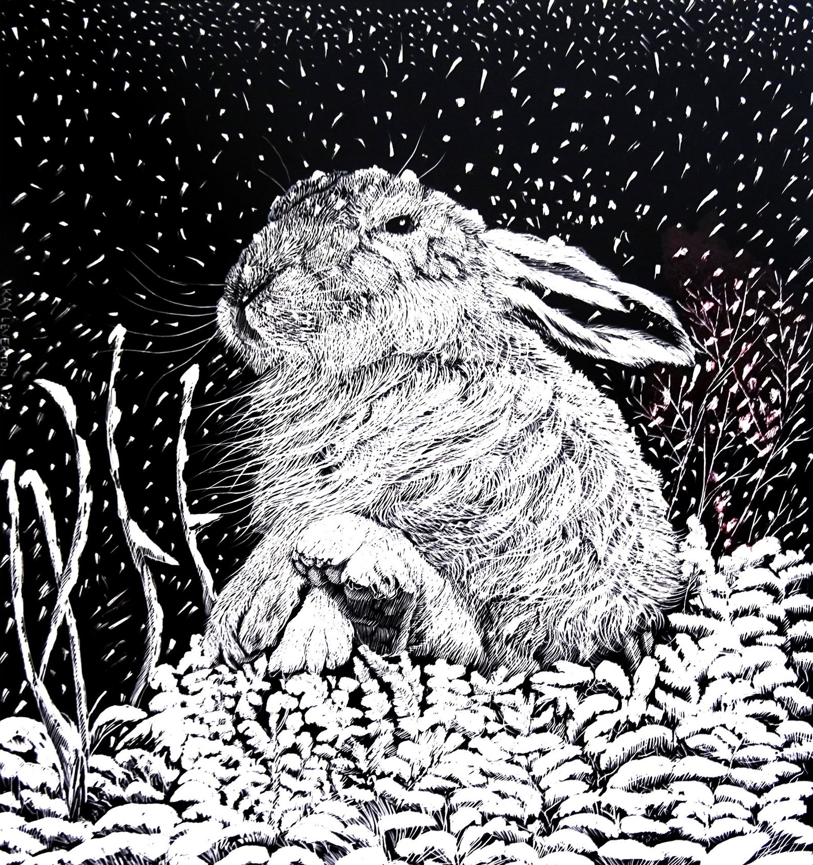 Art Print: Hare in the Snow From Original Scraperboard - Etsy