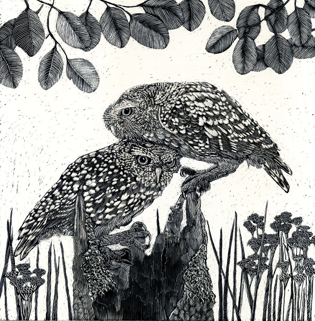 Art Print Ltd ED: Burrowing Owls on a Hollow Log From Scraperboard ...