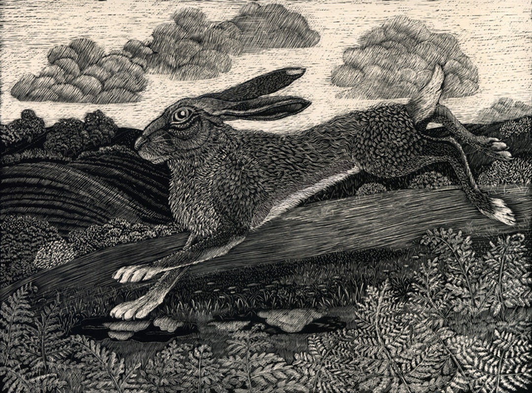 Art Print: Running Hare Fine Art Print From an Original Scratchboard ...