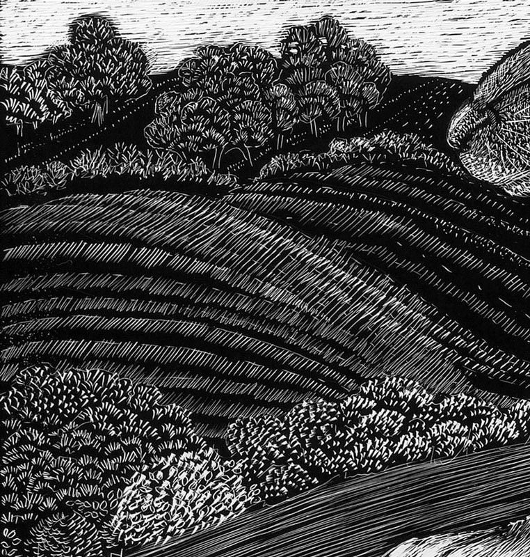 Art Card: Running Hare Card From Original Scraperboard Design - Etsy