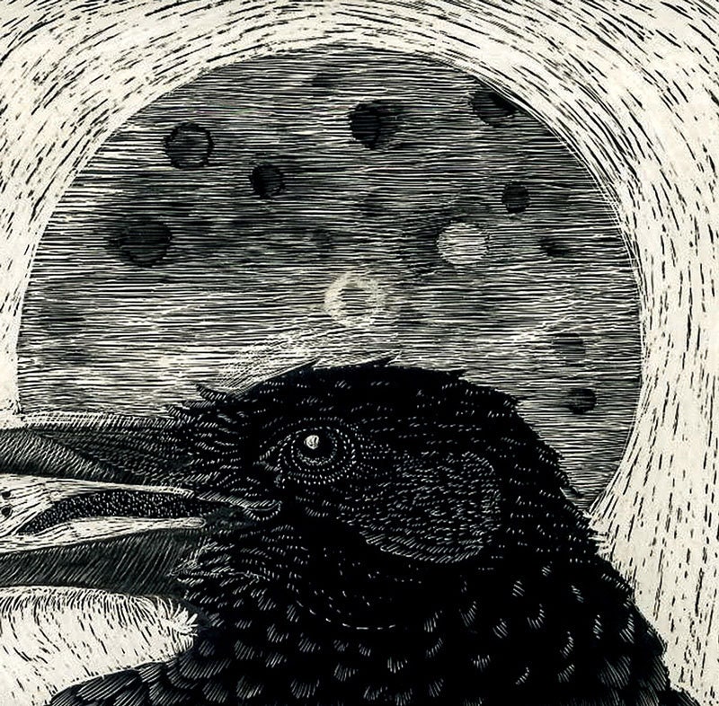 Art Card: Raven's Song From Original Scraperboard Design - Etsy UK