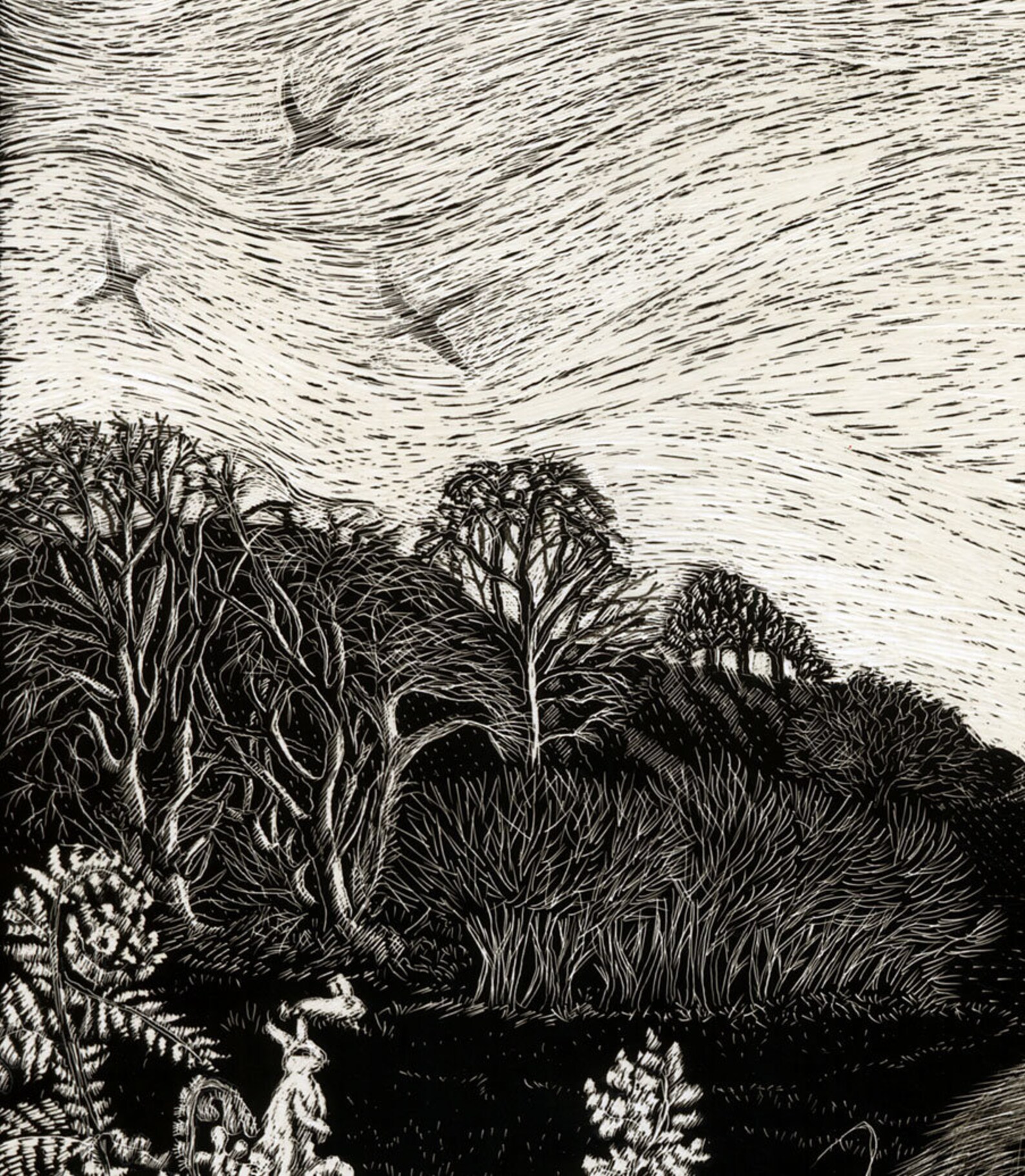 Art Card: Fox in Bracken From Original Scraperboard Design - Etsy