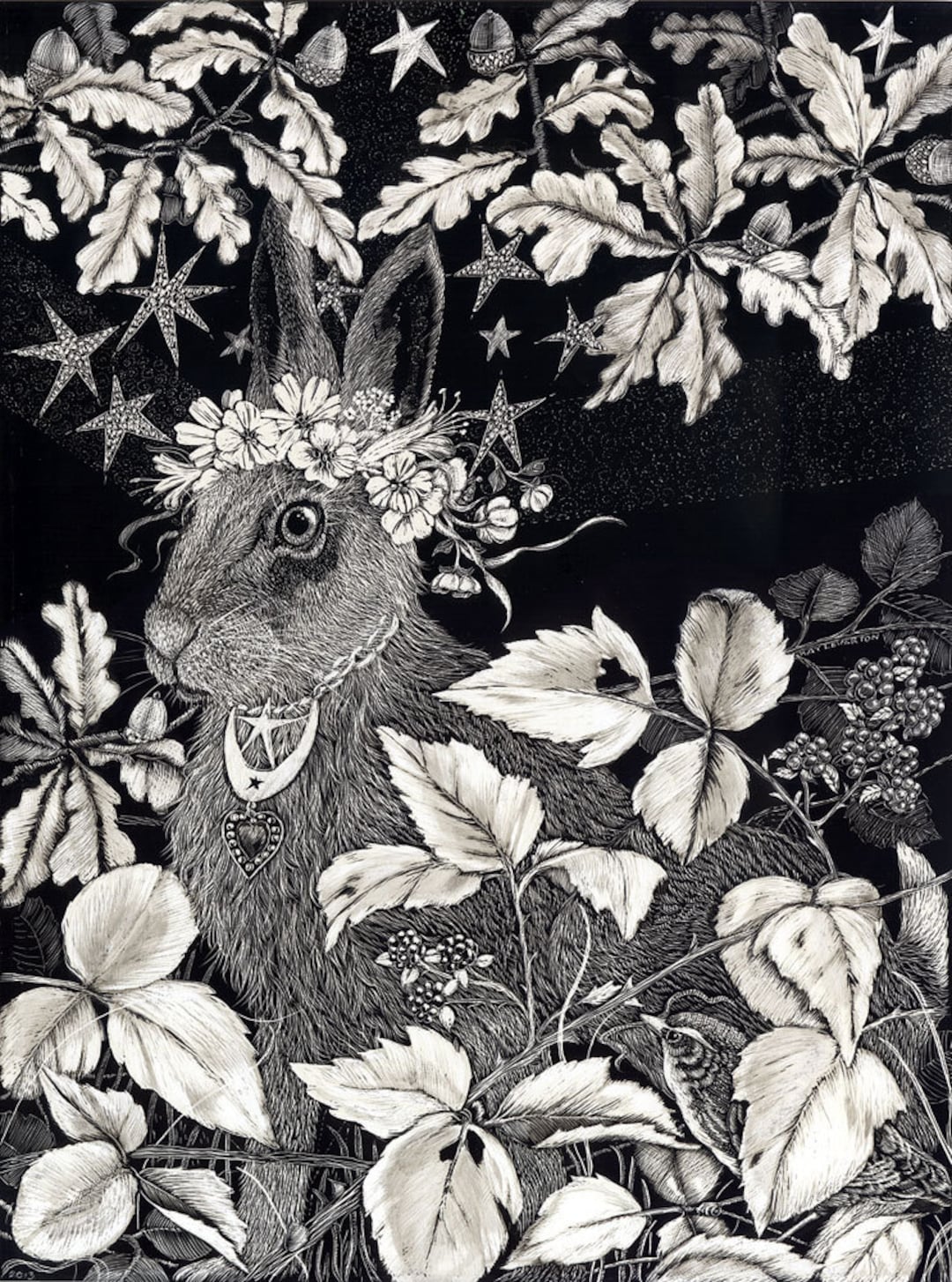 Art Print: the Blessing Hare Art Print of Original Scraperboard - Etsy