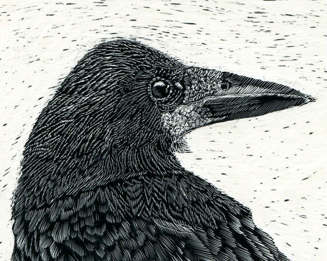 Art Card: Rook Making the Nest From Original Scraperboard | Etsy