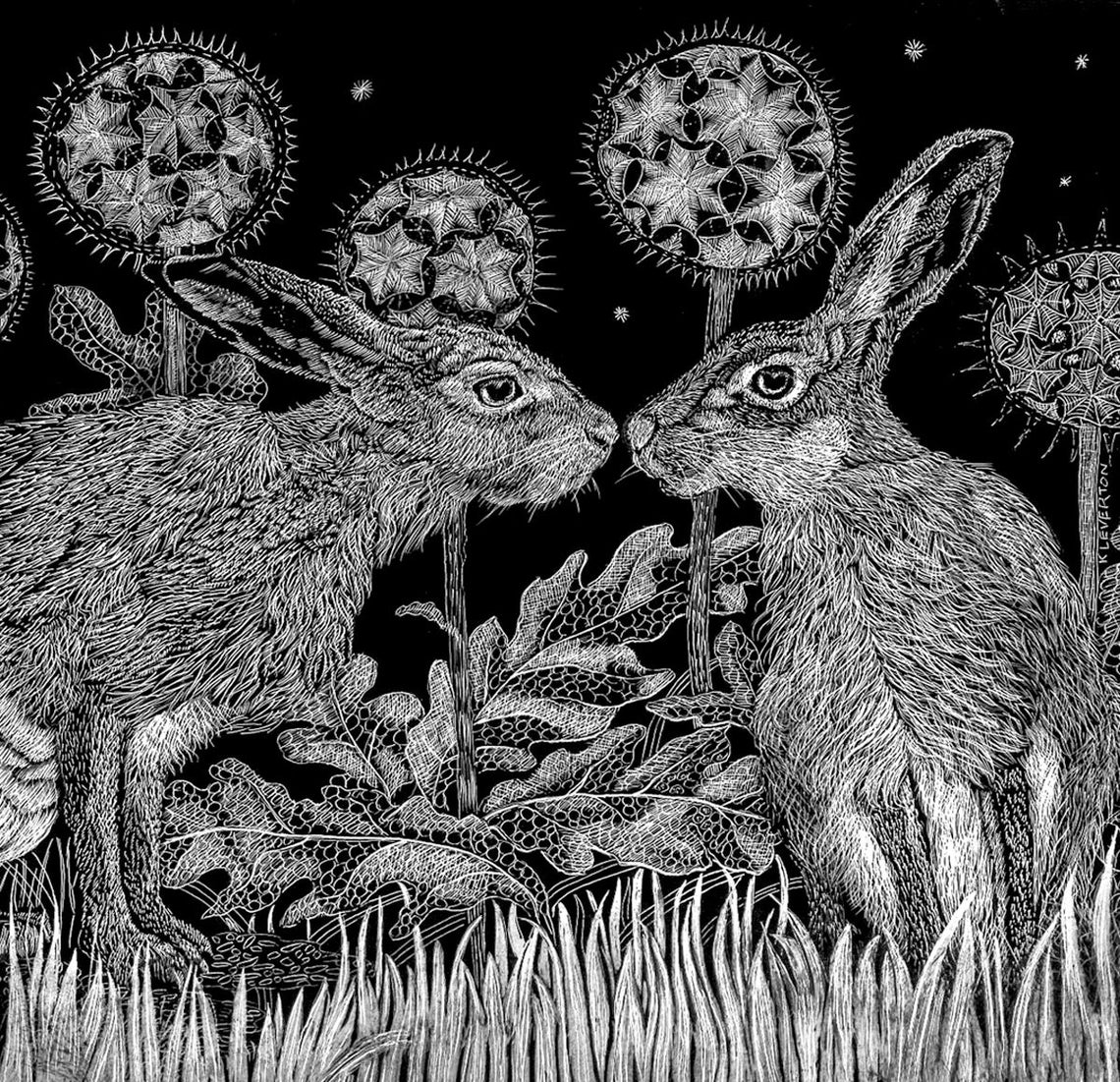 Art Card: Star Struck Hares From Original Scraperboard - Etsy