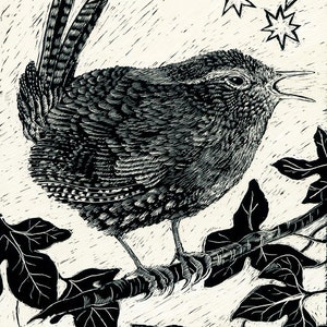 Art Card: Wren Singing From Original Scraperboard Design - Etsy