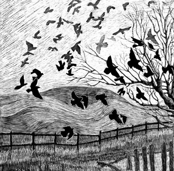Prints Giclée Dance of Crows Art Print of Original Scraperboard Art ...