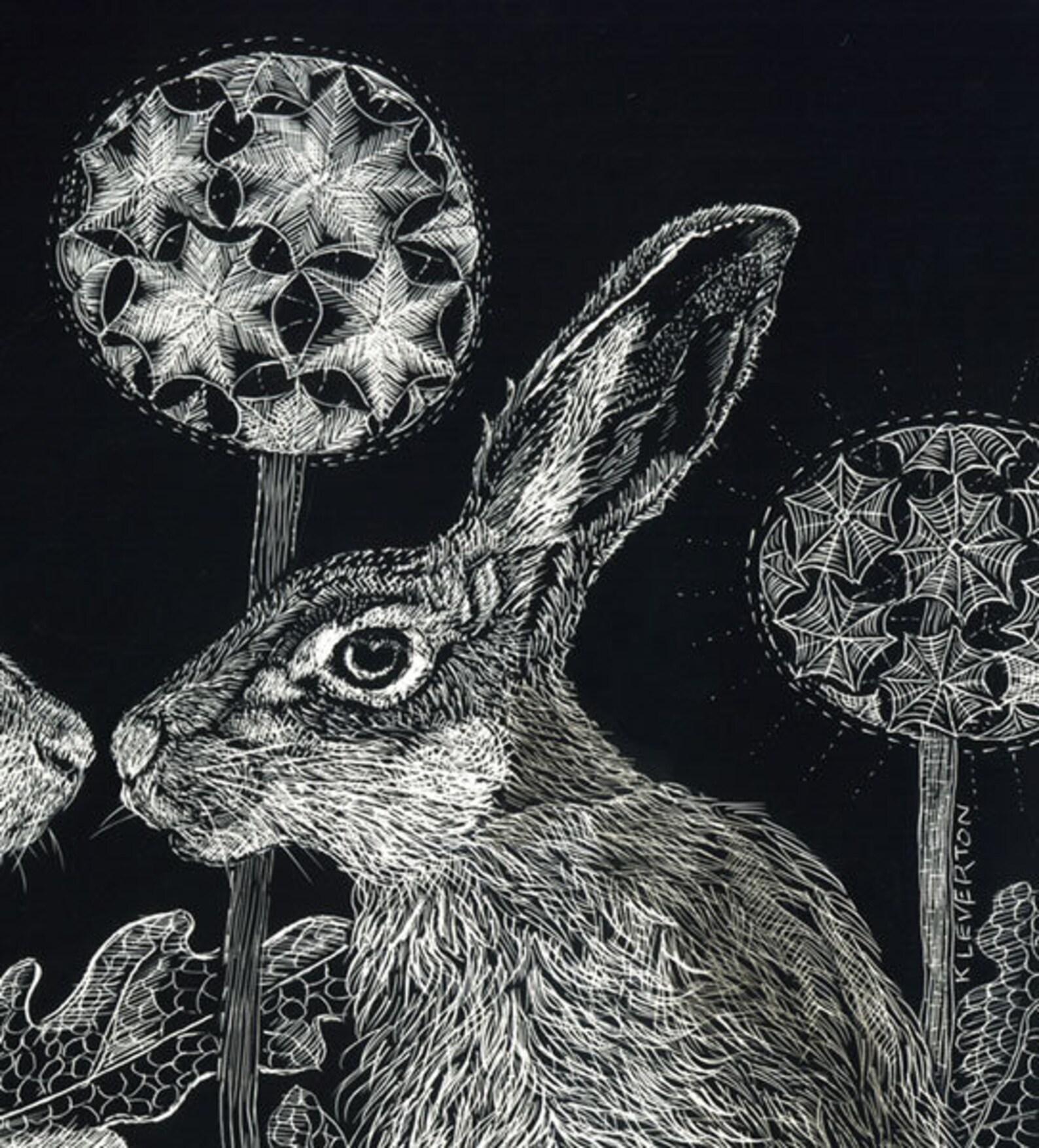 Art Card: Star Struck Hares From Original Scraperboard - Etsy
