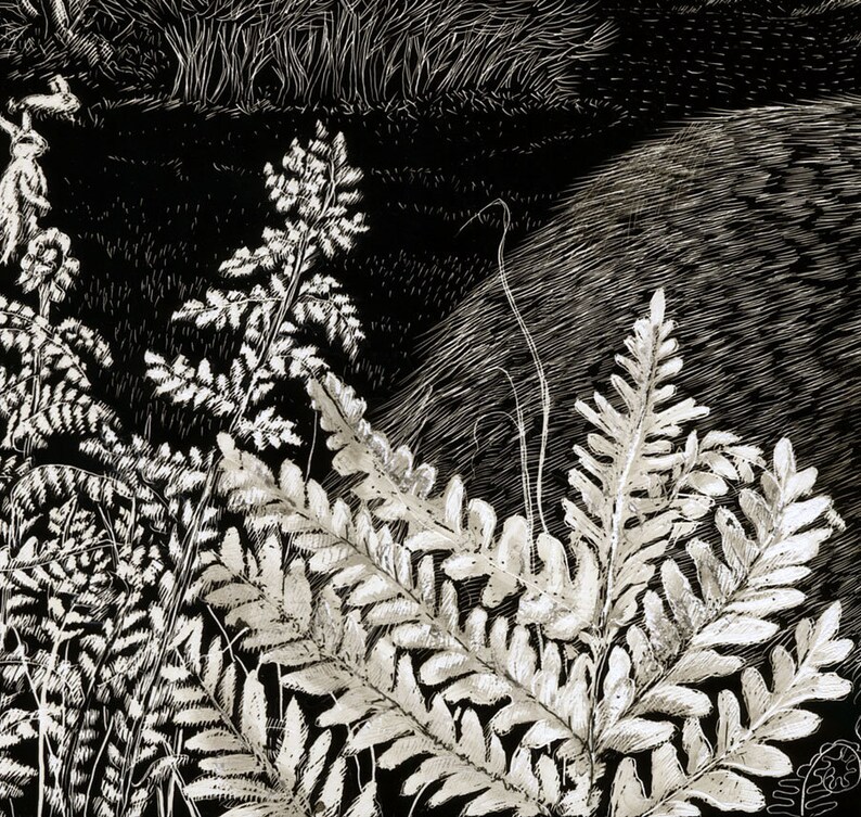 Art Card: Fox in Bracken From Original Scraperboard Design - Etsy