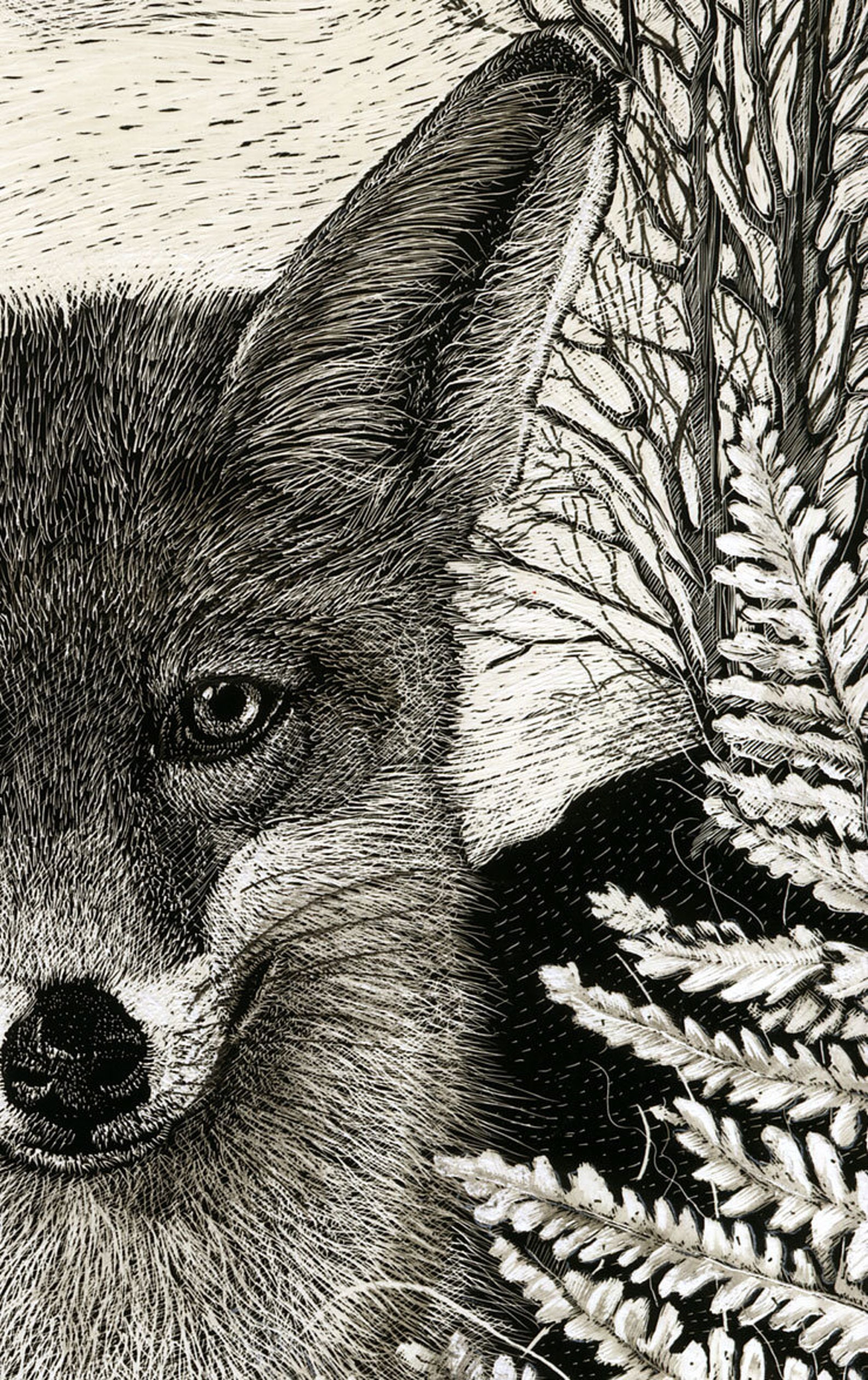 Art Card: Fox in Bracken From Original Scraperboard Design - Etsy