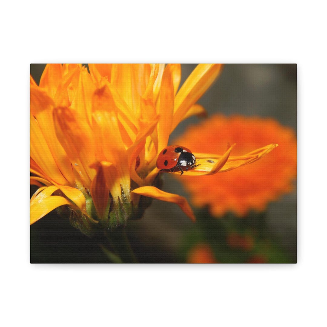 Vibrant Floral Canvas Print With Ladybug, Wall Art, Home Decor, Gift ...