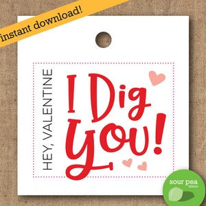 INSTANT DOWNLOAD: DIY Printable Valentine Tags - "i Dig You" - Etsy