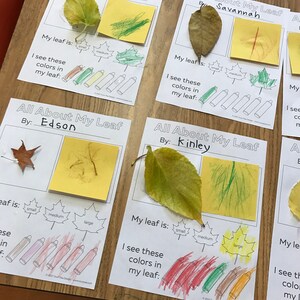 INSTANT DOWNLOAD: All About My Leaf, Autumn Leaf Science Exploration ...