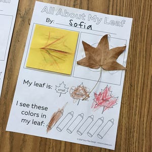 INSTANT DOWNLOAD: All About My Leaf, Autumn Leaf Science Exploration ...