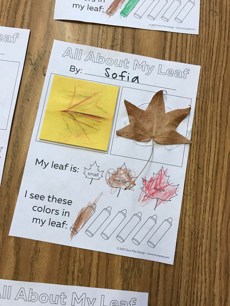 INSTANT DOWNLOAD: All About My Leaf Autumn Leaf Science | Etsy