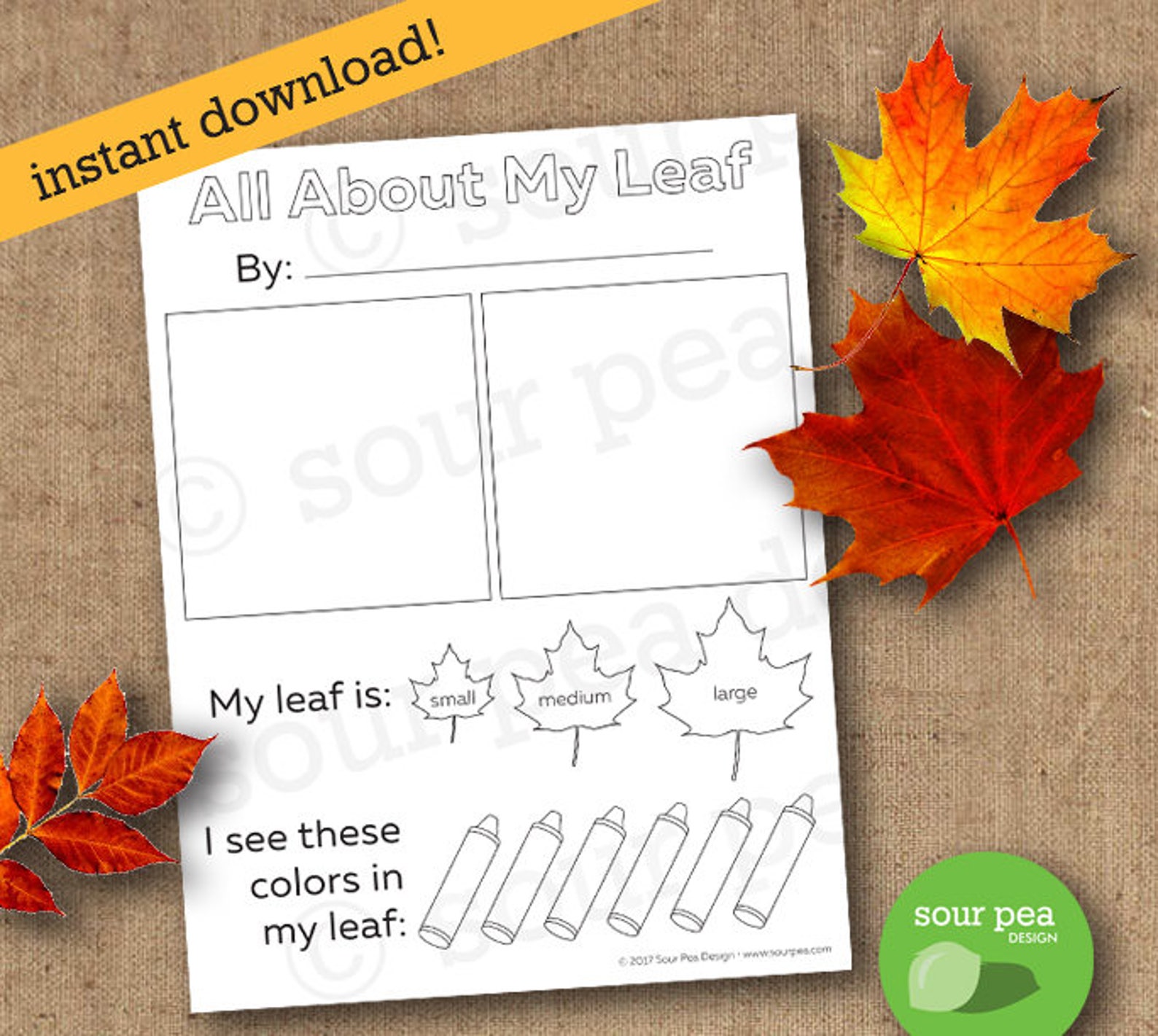 INSTANT DOWNLOAD: All About My Leaf Autumn Leaf Science | Etsy