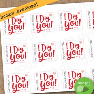 INSTANT DOWNLOAD: DIY Printable Valentine Tags - "i Dig You" - Etsy